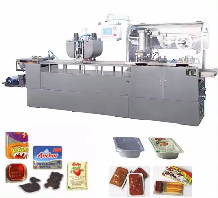 Precision Servo Motor Stainless Steel Electric Pharmaceutical Blister ...